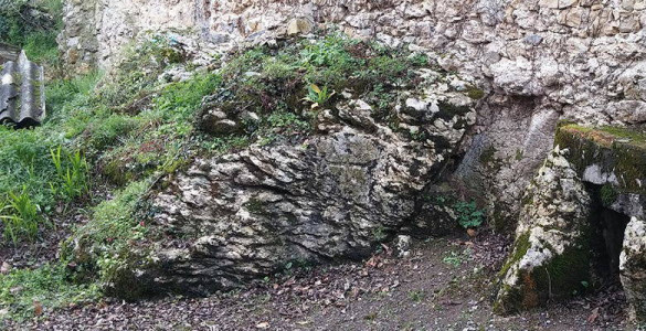 Favila o Fafila, rey de Asturias (737-739)