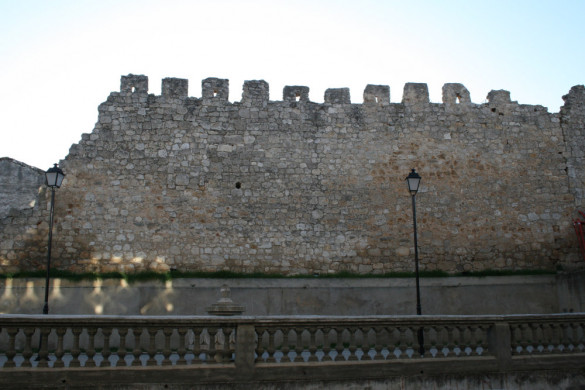 Munio Núñez, conde de Castilla - Historia del Condado de Castilla