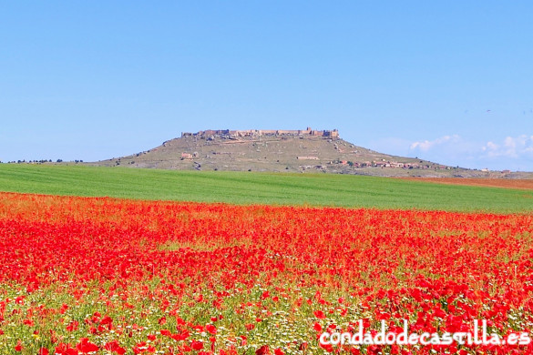 Inicio - Historia del Condado de Castilla